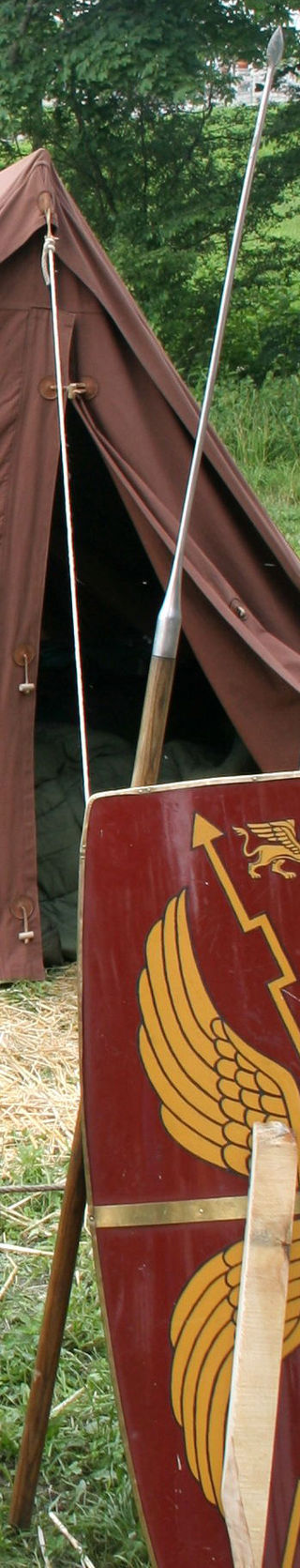 The Roman Legion’s Recruitment, Training, & the Weaponry Involved ...